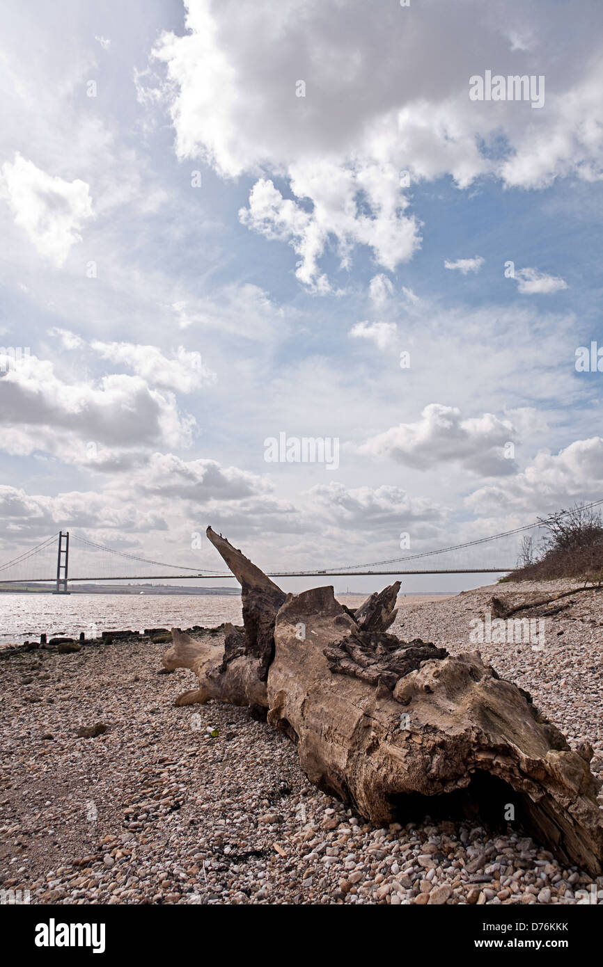 Portrait photograph of the Humber Bridge, showing drift wood on Hessle ...