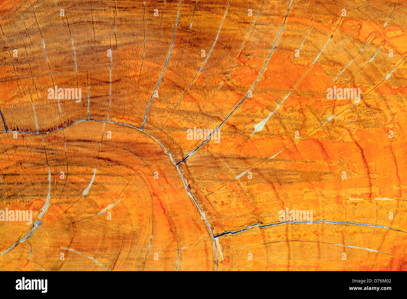 Classic wood texture Stock Photo - Alamy