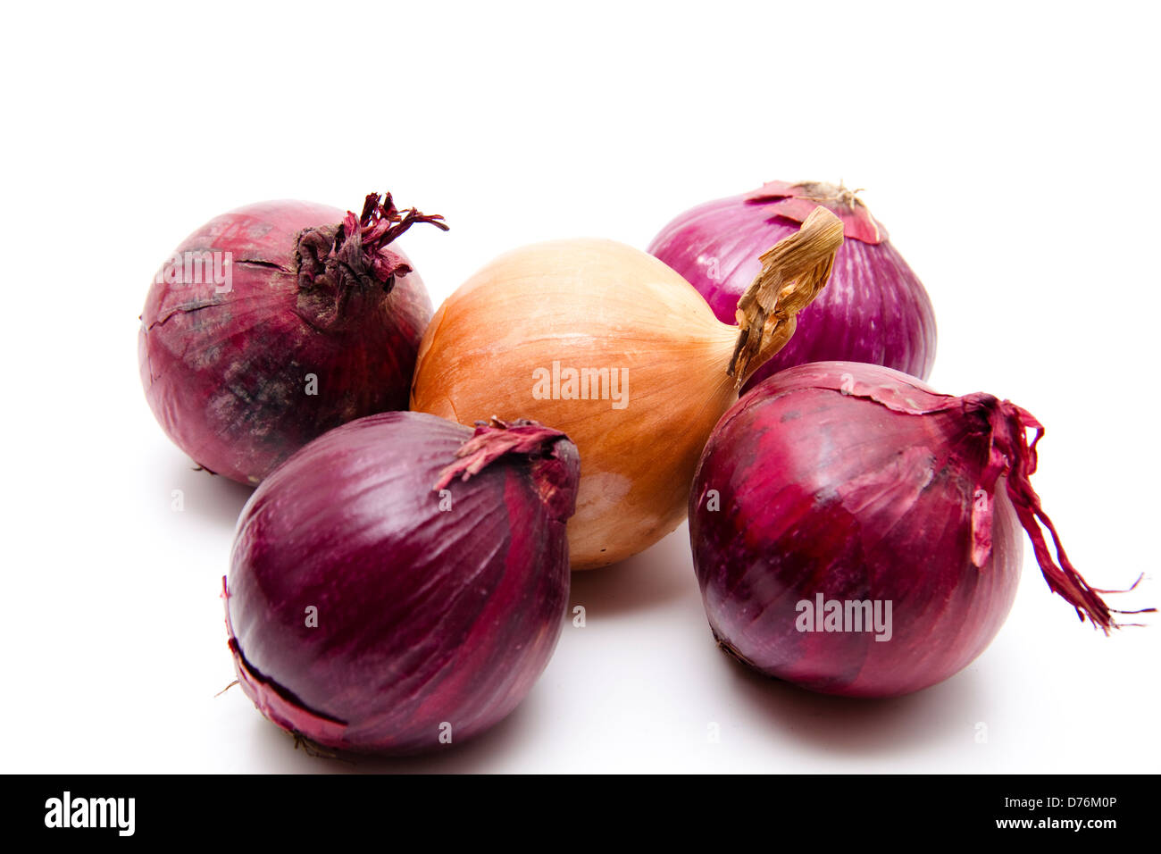Harvested onion Cut Out Stock Images & Pictures - Alamy