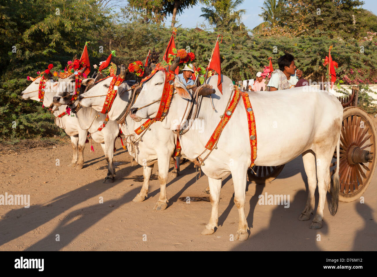 Lavishly decorated bullock cart in Bagan, Myanmar 5 Stock Photo - Alamy