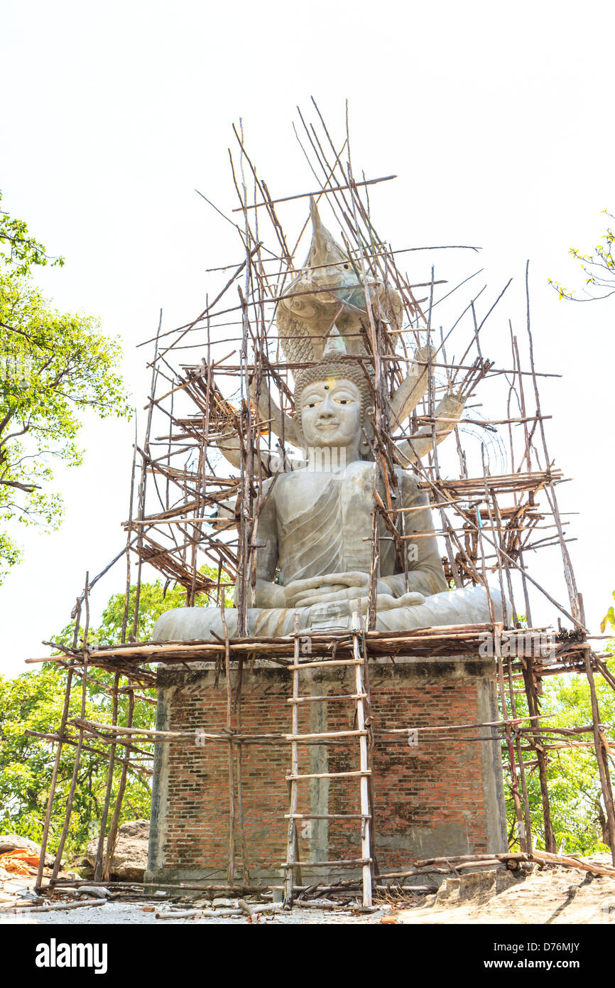 Spring Temple Buddha Construction