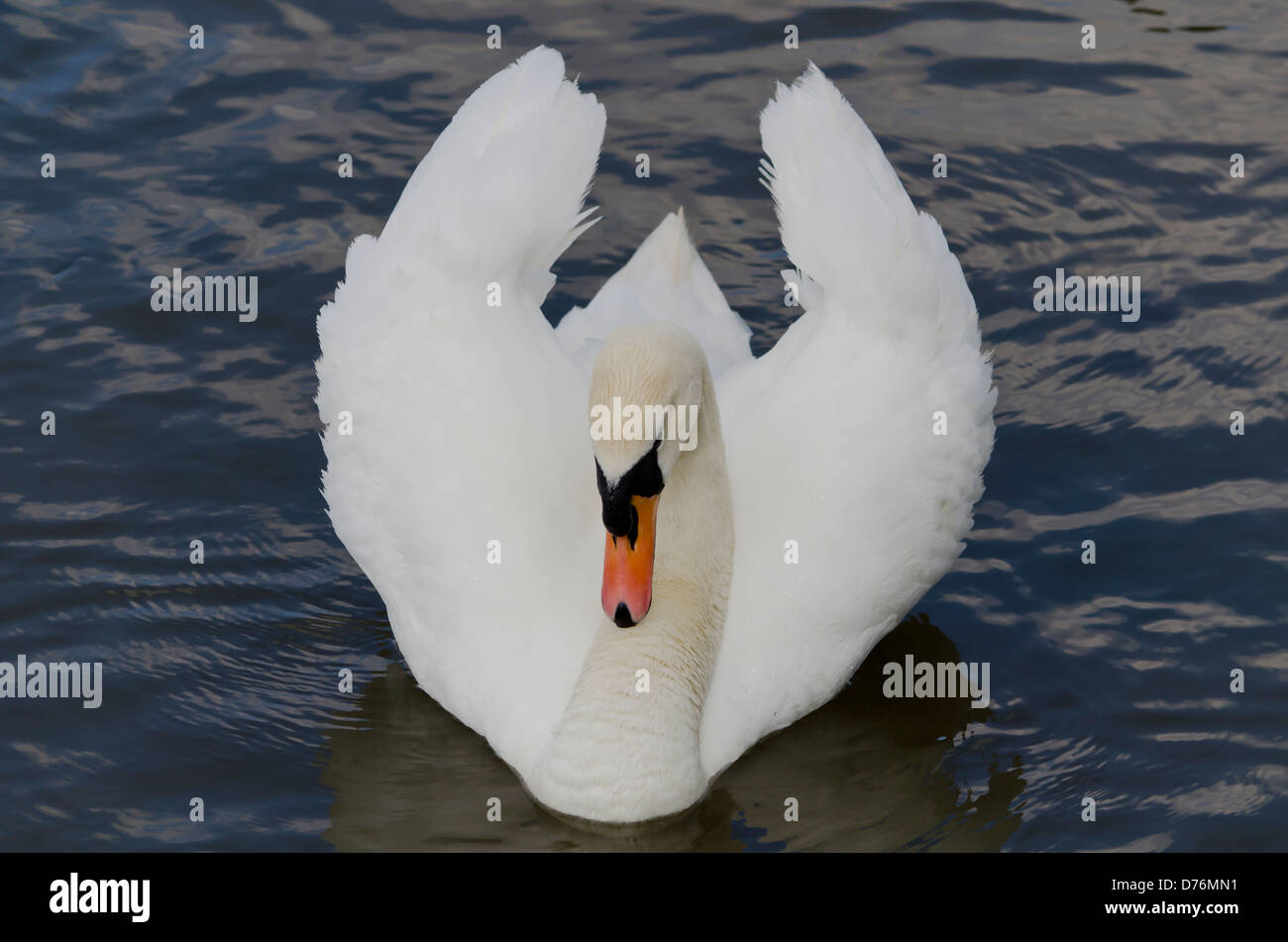 Open web movement image hi-res stock photography and images - Alamy