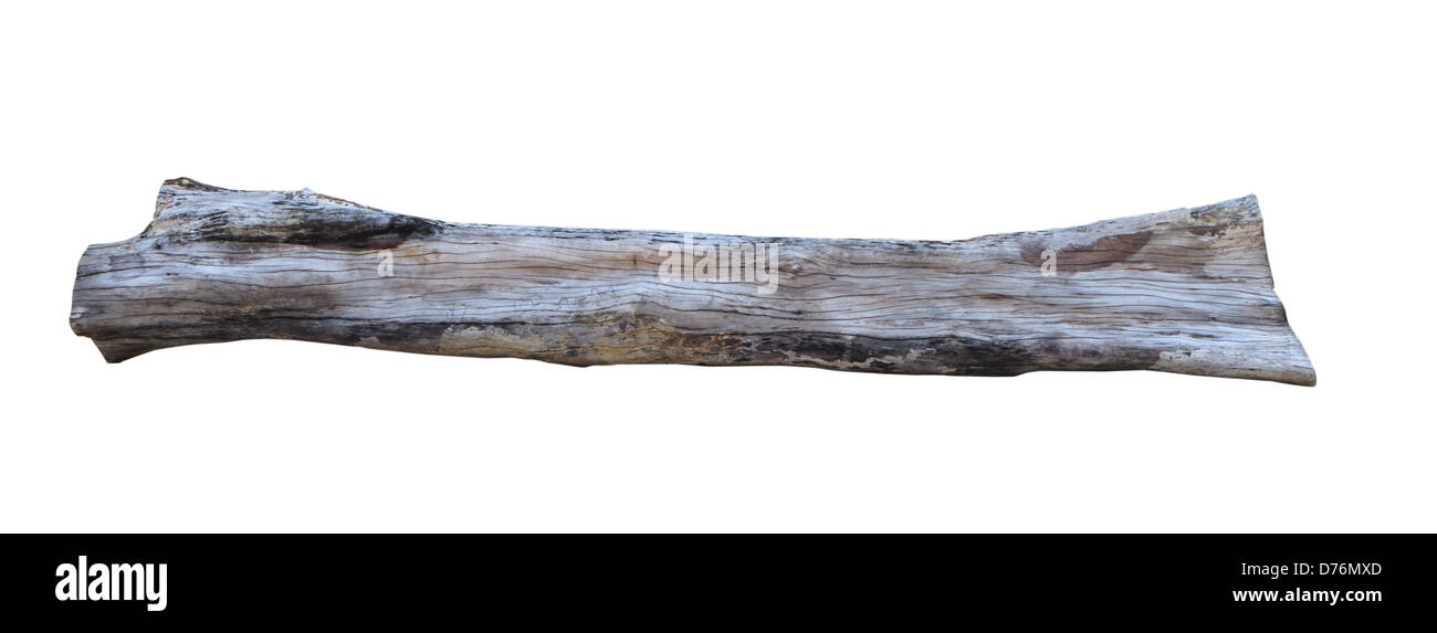 Wooden log tree trunk Cut Out Stock Images & Pictures - Alamy