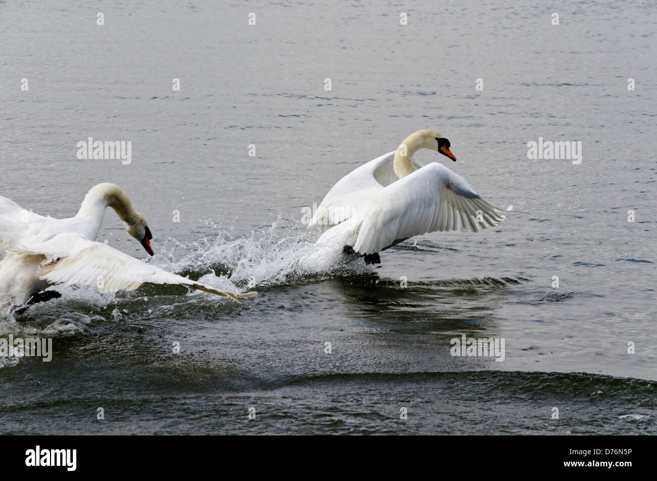 Away fighting hi-res stock photography and images - Alamy