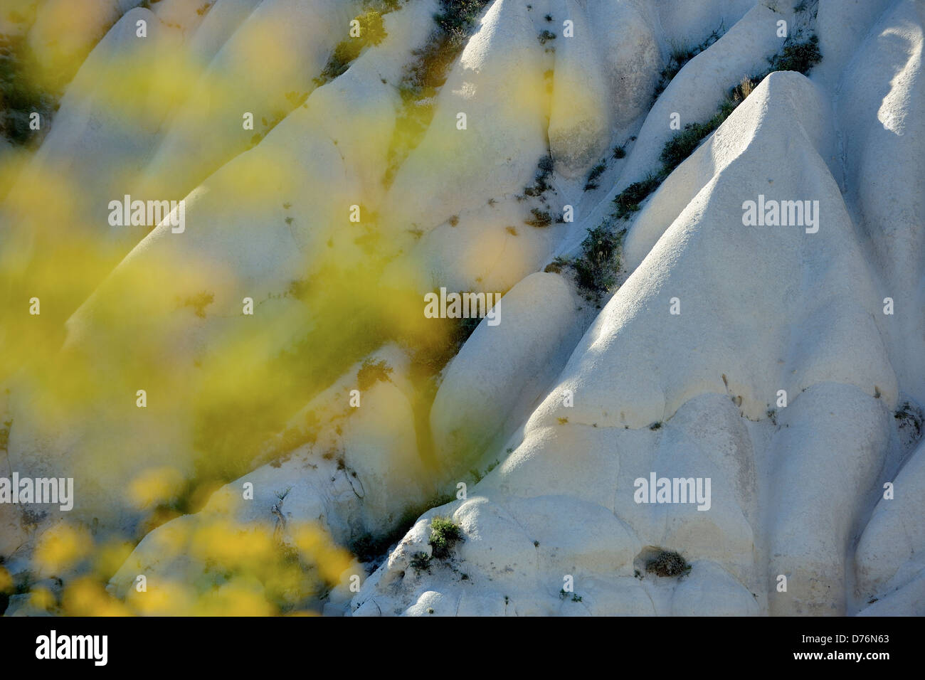 Cappadocia's famous lime stone cones with some yellow flower ...