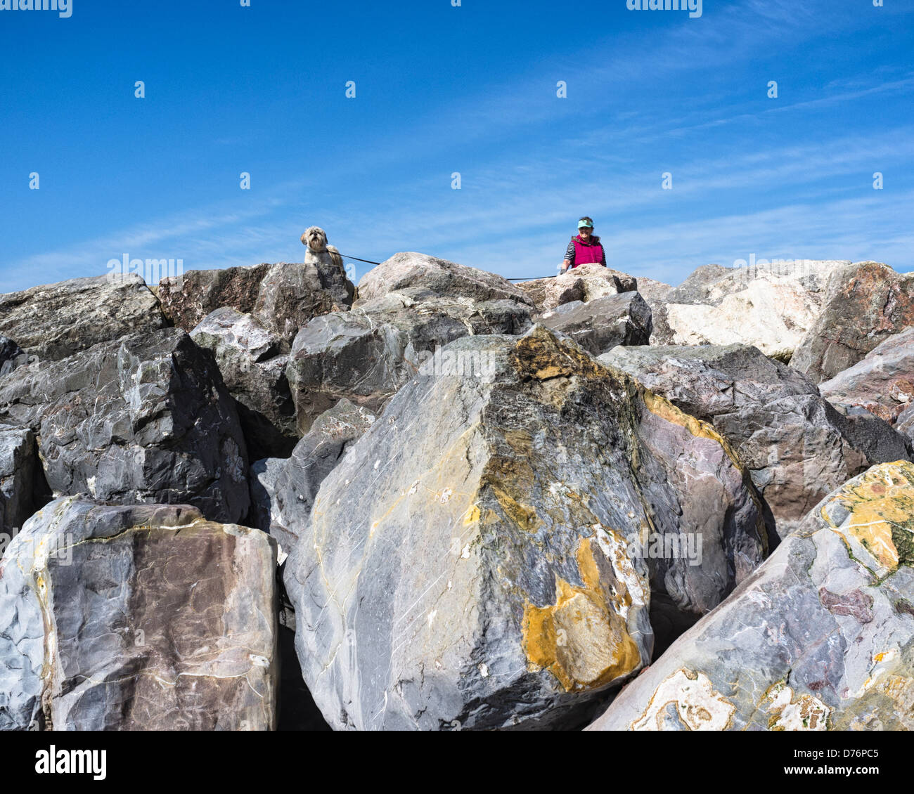 Rock Guard. Picture by Julie Edwards Stock Photo - Alamy
