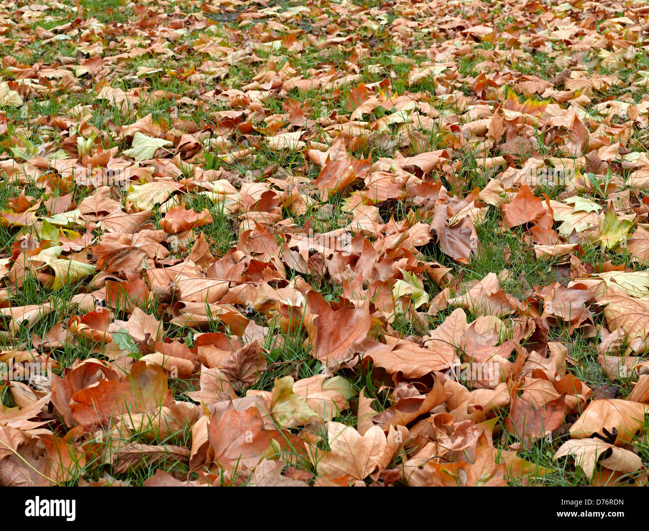 Ideal cycle hi-res stock photography and images - Alamy