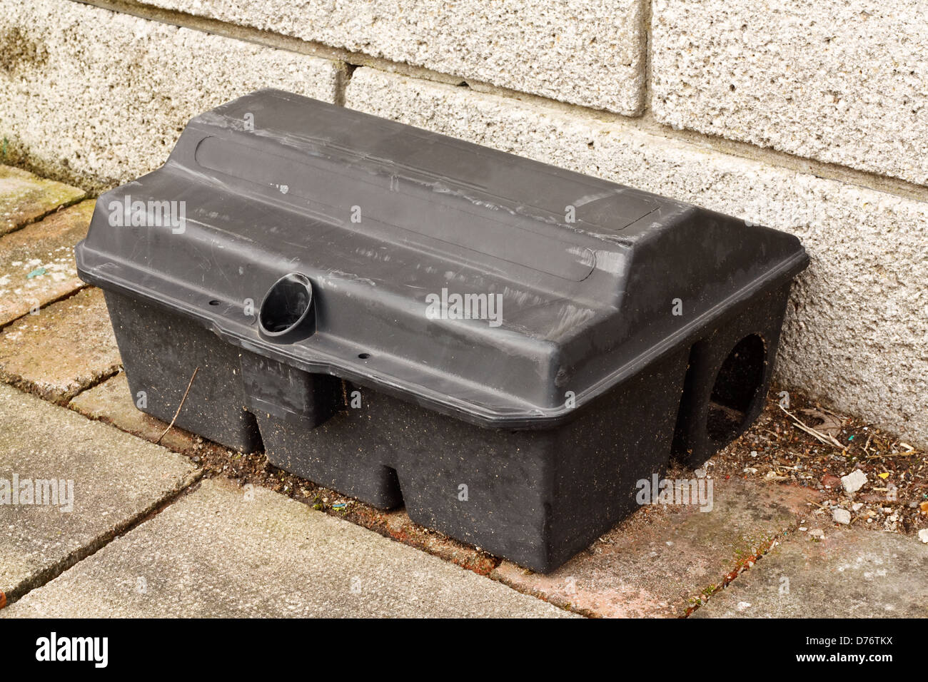 Rat trap for baiting rats without harming household pets Stock Photo ...
