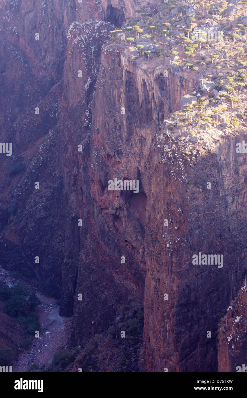 Steep canyon wall near the Diksam plateau on Socotra Stock Photo - Alamy