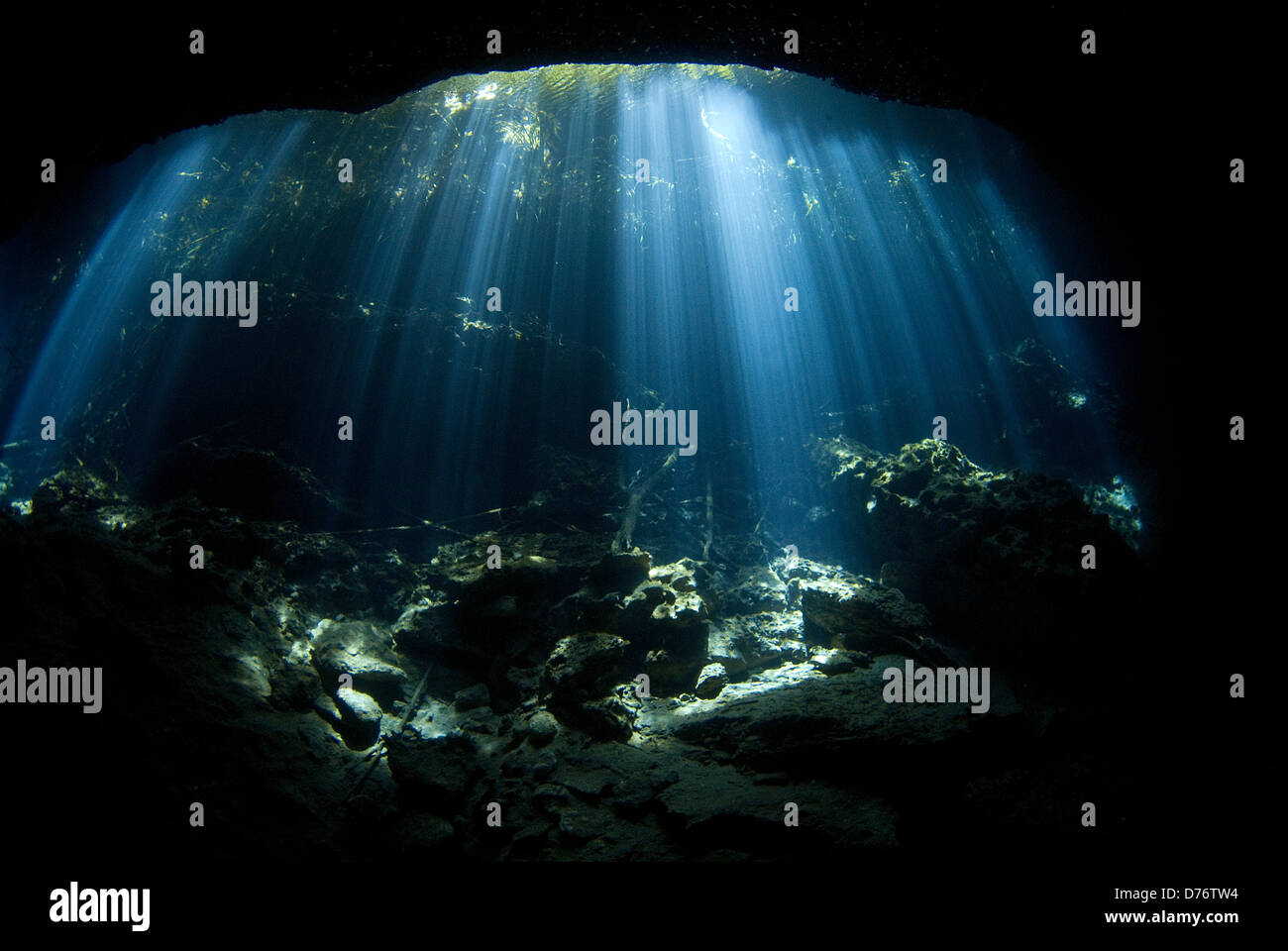 Light entrance at cenote Jardin Del Eden Riviera Maya Quintana Roo ...