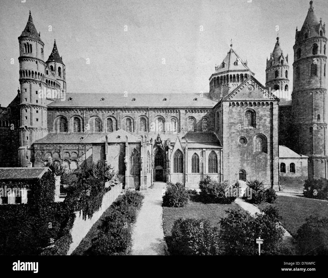 Cathedral of worms Black and White Stock Photos & Images - Alamy