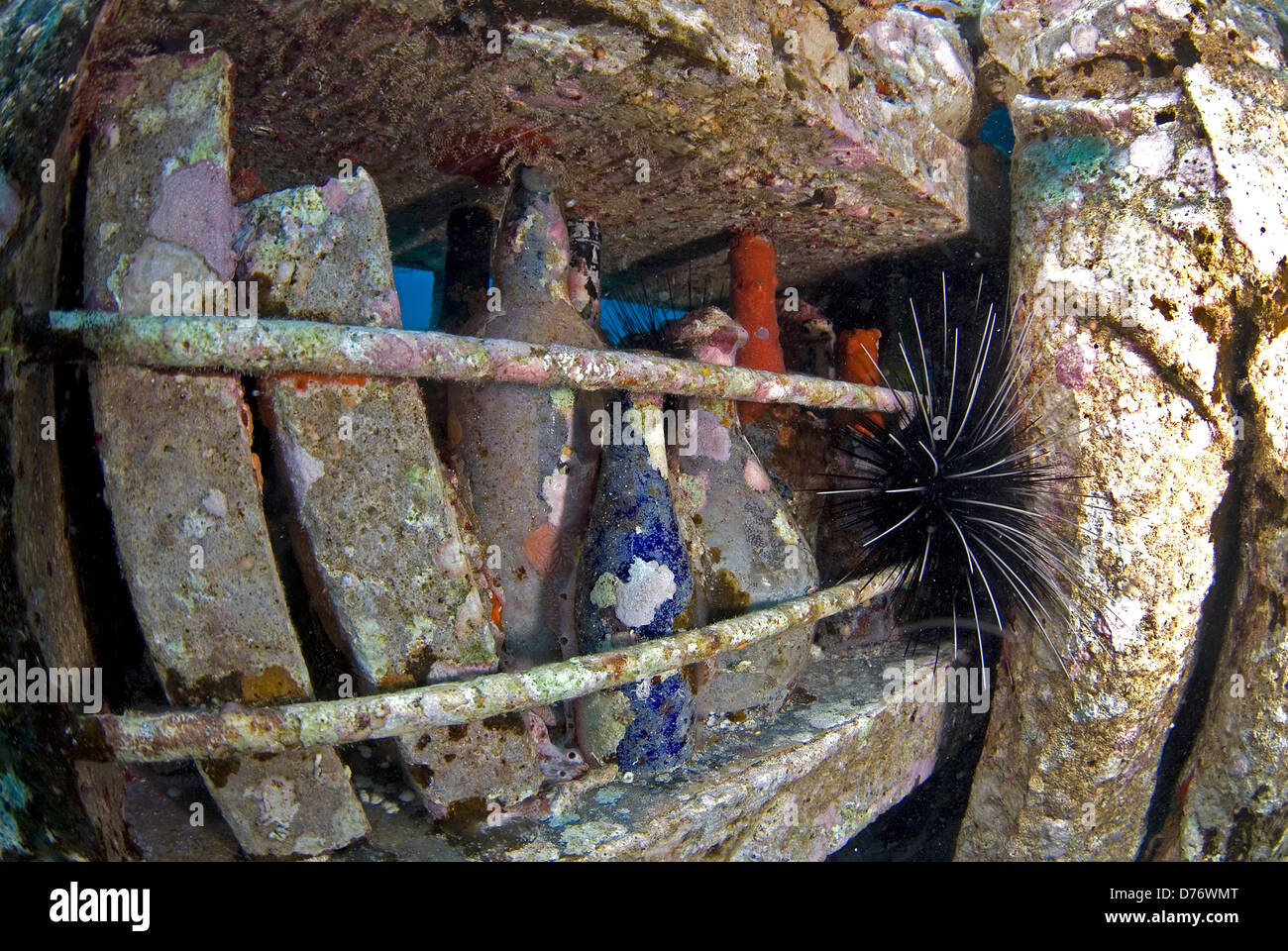 Sculptures at Cancun Underwater Museum Cancun Quintana Roo Yucatan ...