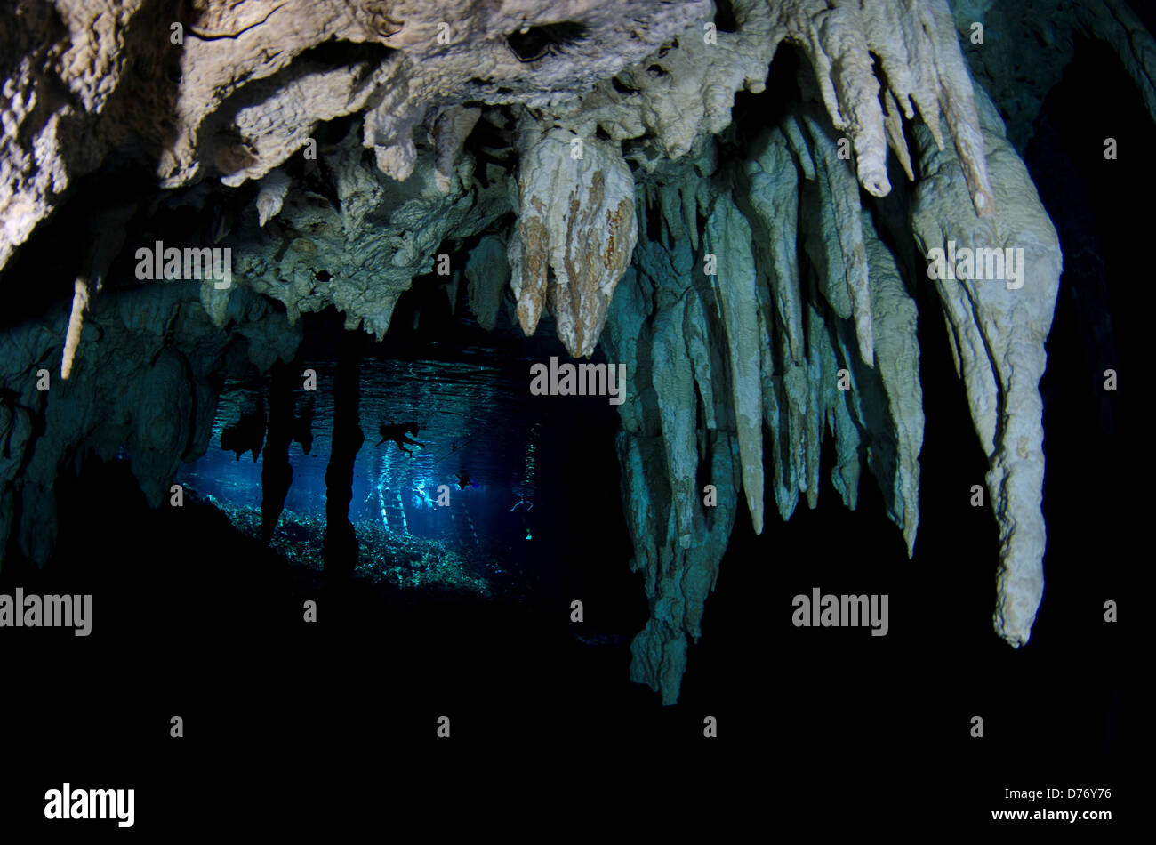 Mexico Yucatan peninsula Grand cenote stalactites Stock Photo - Alamy