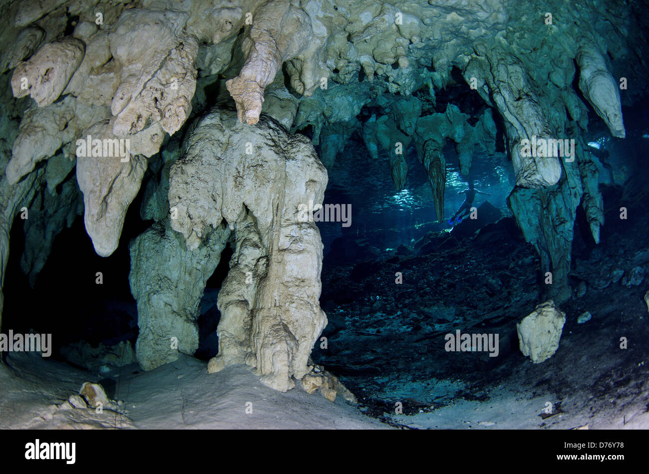 Mexico Yucatan peninsula Grand cenote stalactites Stock Photo - Alamy