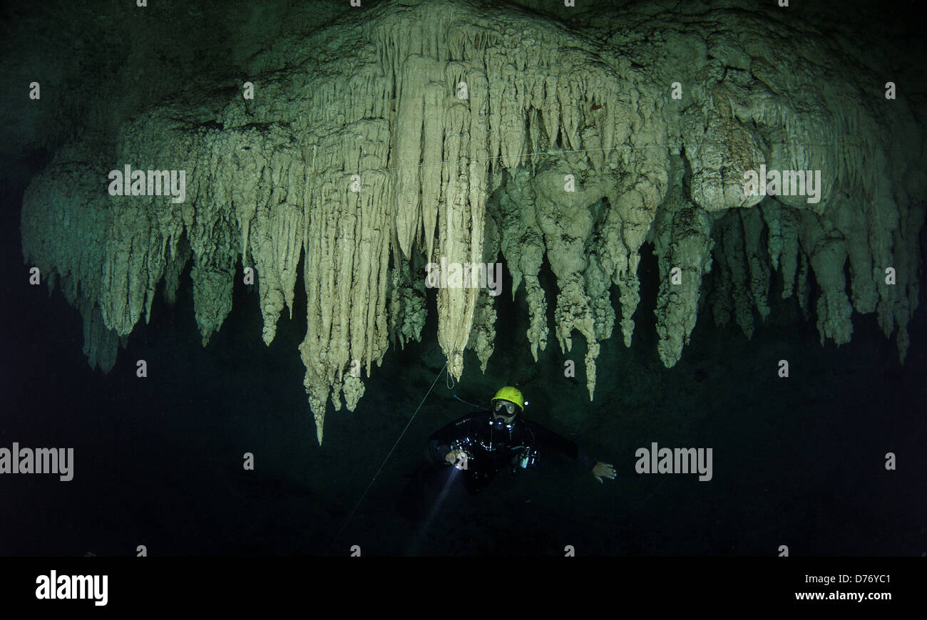 Mexico Puerto Morelos Scuba diver descending in deep cenote among ...