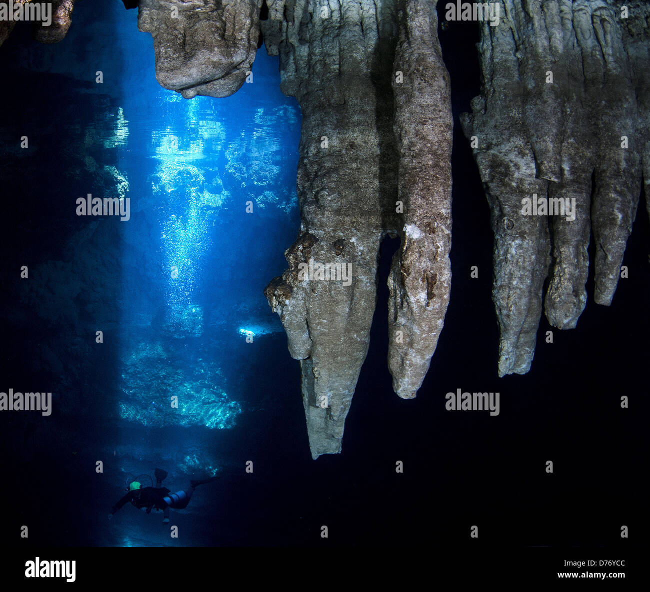 Mexico Puerto Morelos Scuba diver descending in deep cenote among ...