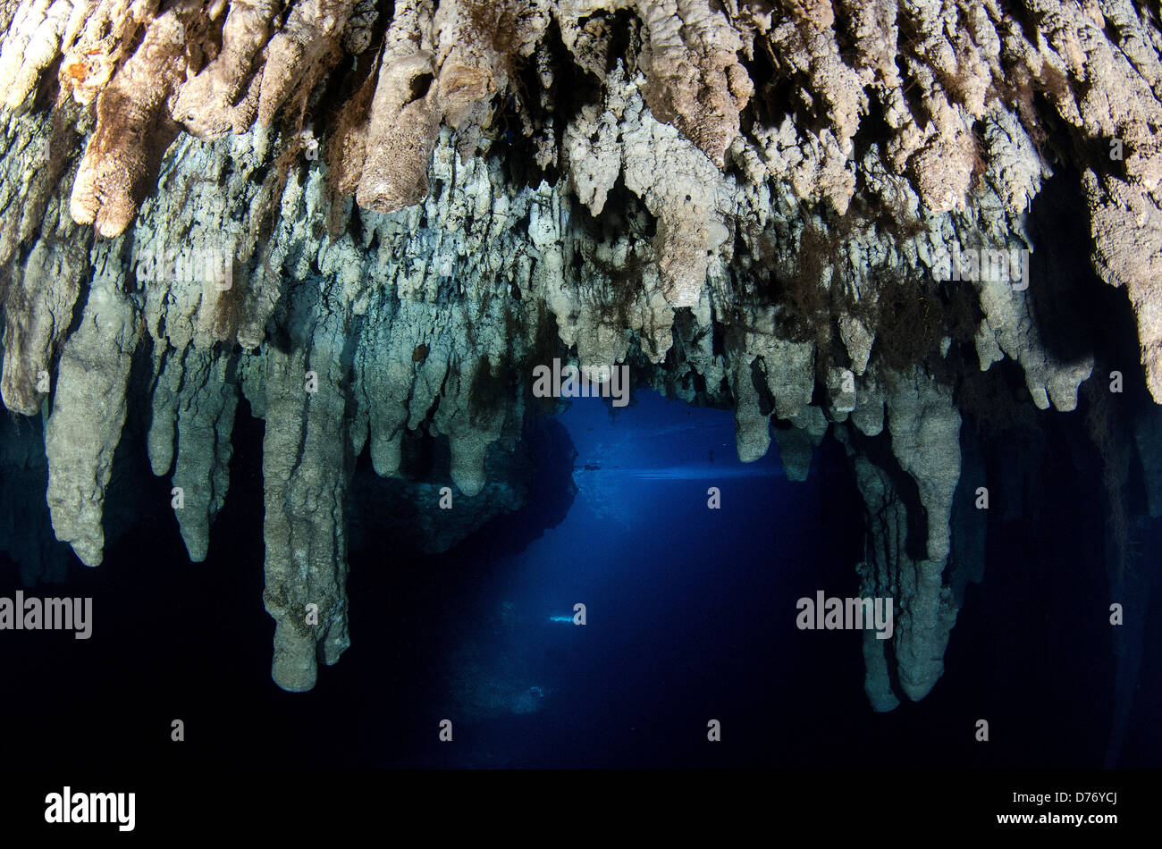 Mexico Puerto Morelos Underwater stalactites formations in cenote Stock ...