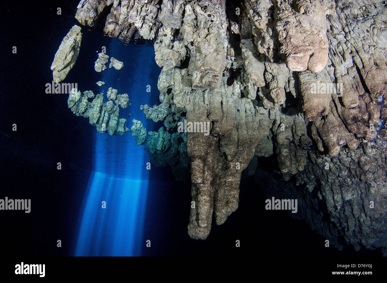 Mexico Puerto Morelos Underwater stalactites formations in cenote Stock ...