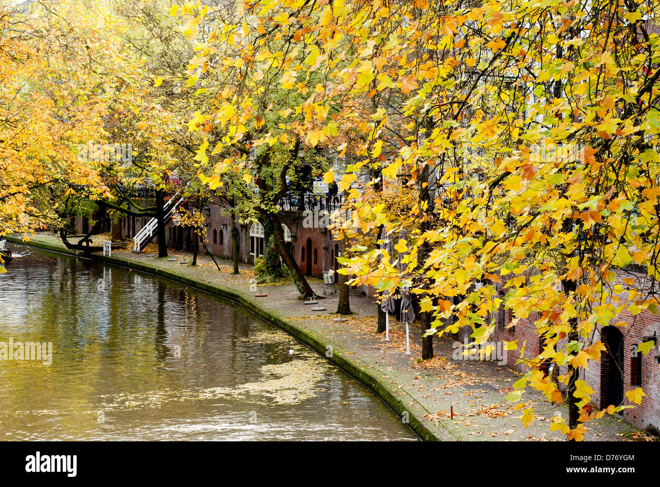 Dutch water hi-res stock photography and images - Alamy
