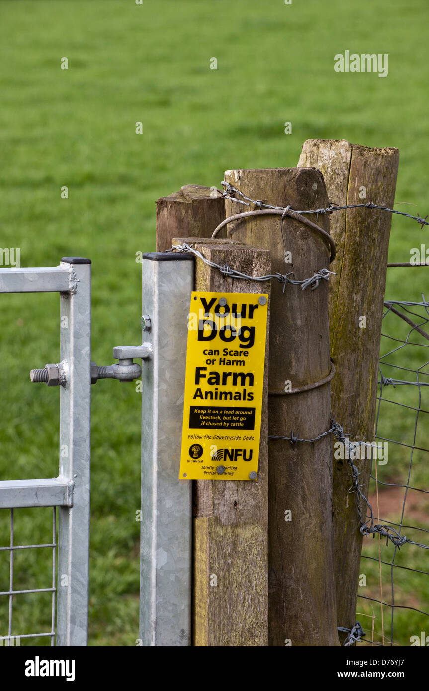 Dog warning on farm gate Stock Photo - Alamy
