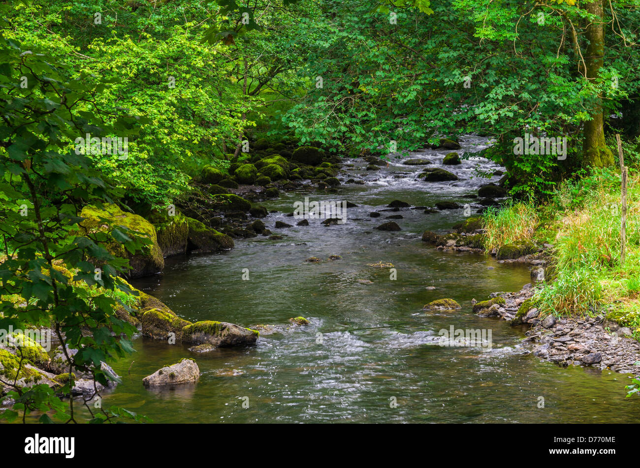 A stream or Beck in the Lake District near Rydal, Cumbria, England ...