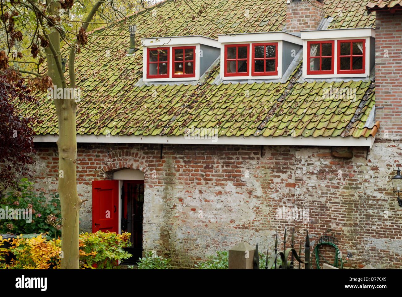 colorful house on the dutch countryside Stock Photo - Alamy