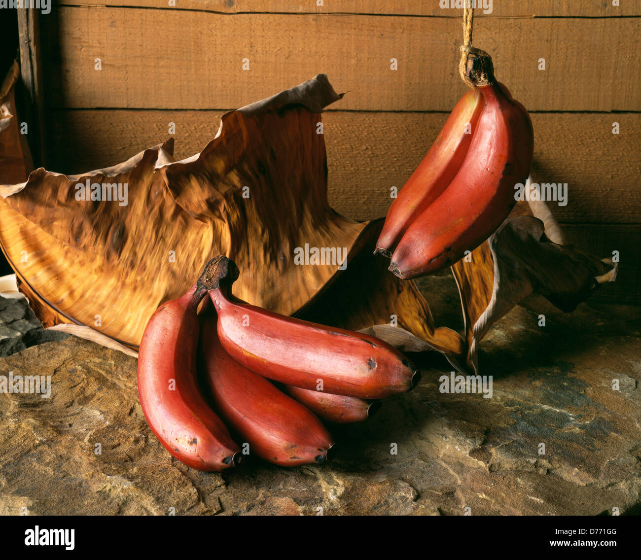 Red dacca hi-res stock photography and images - Alamy