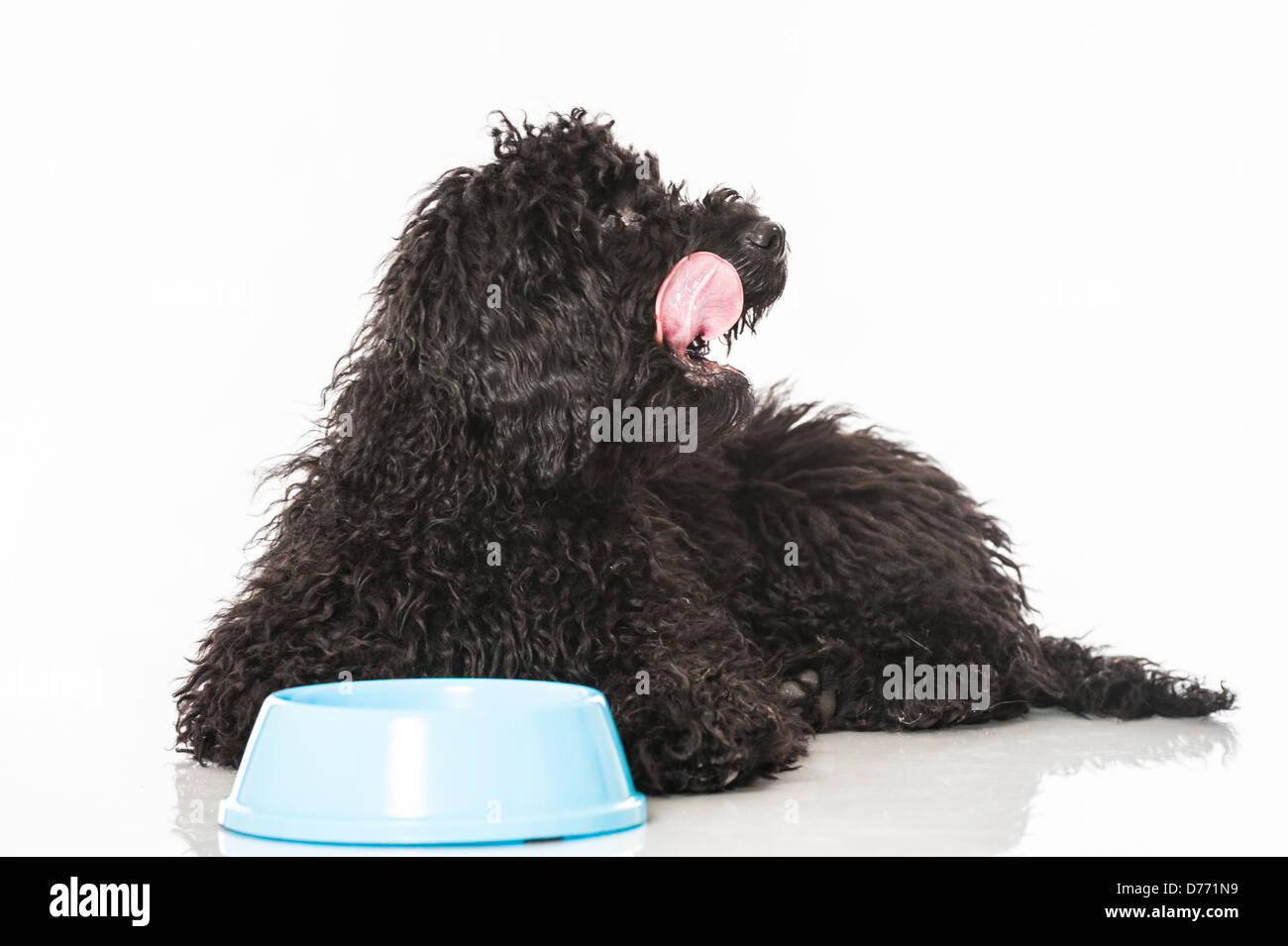 Feed the hungry isolated hi-res stock photography and images - Alamy