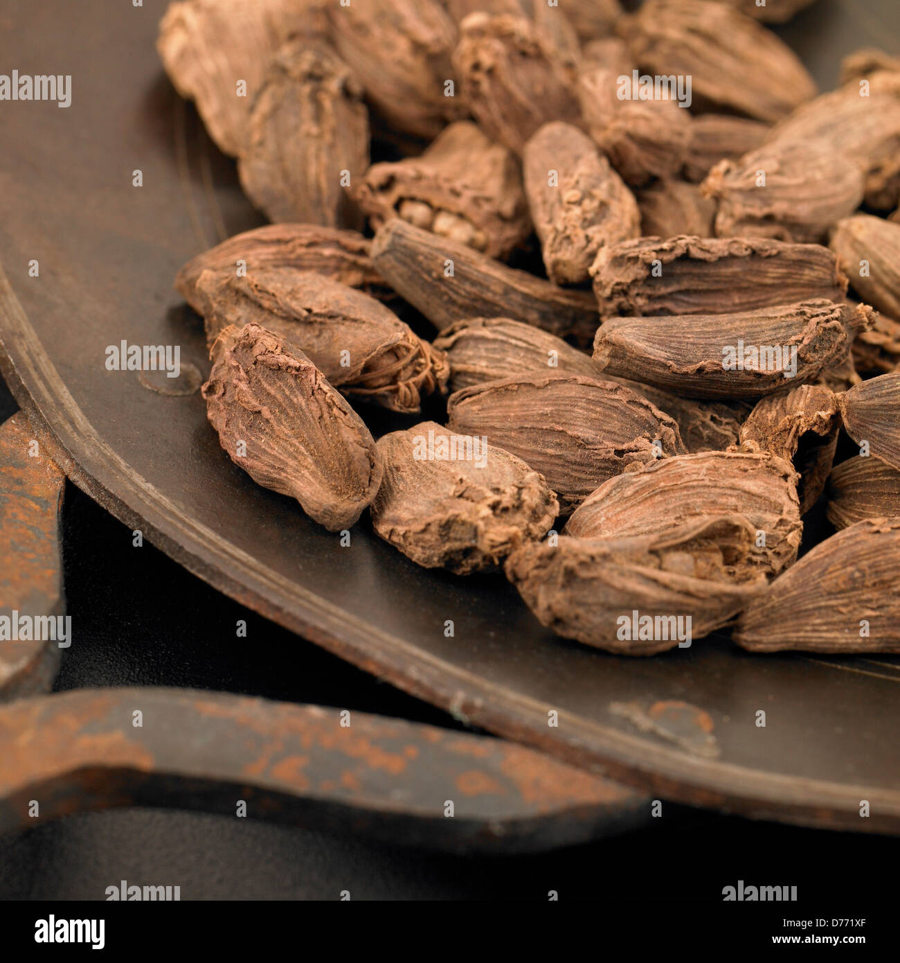 Whole black cardamom pods on Indian griddle pan spice used in Indian ...
