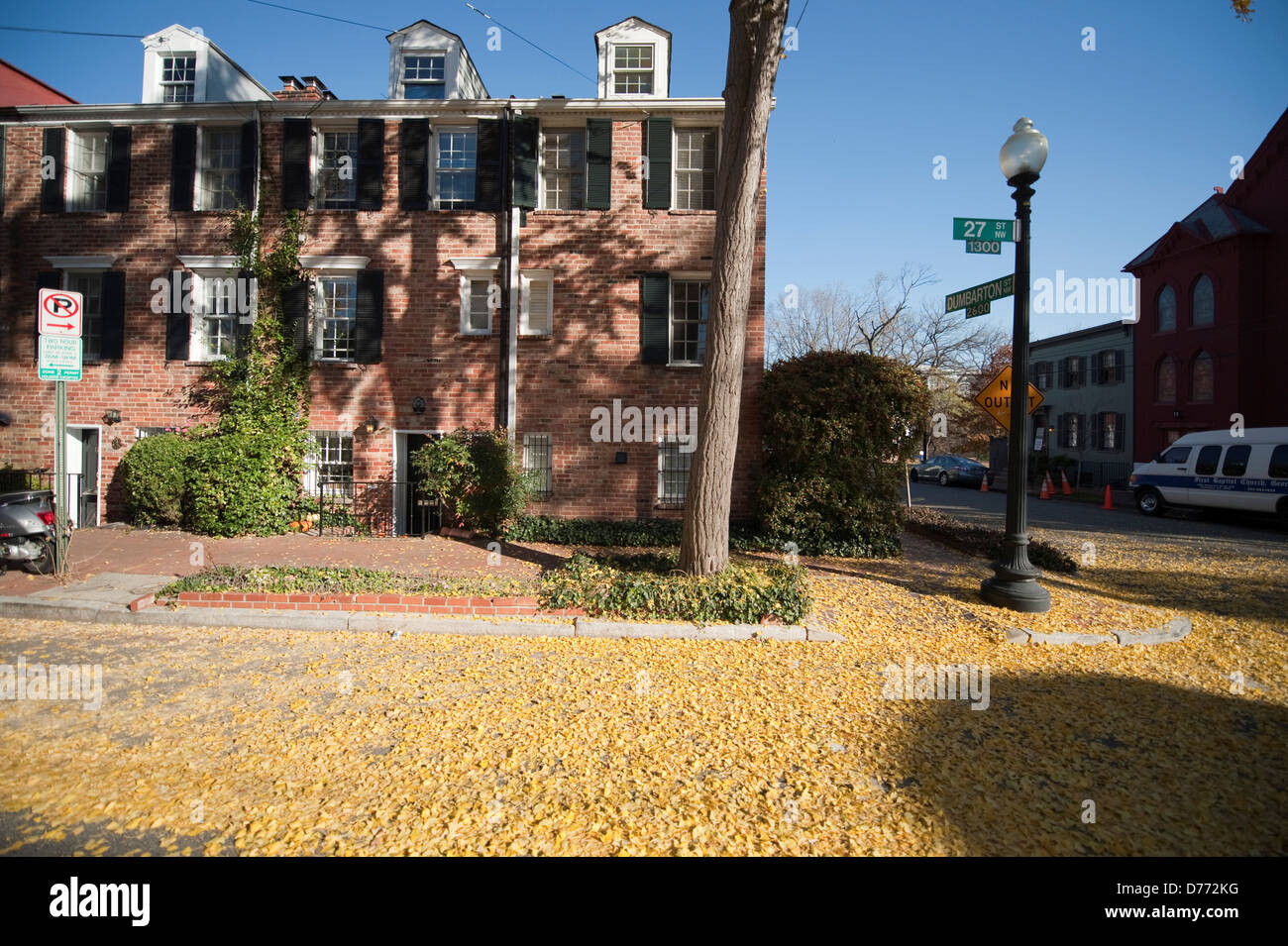 Ginko leaves cover road in Fall in historic district Georgetown ...