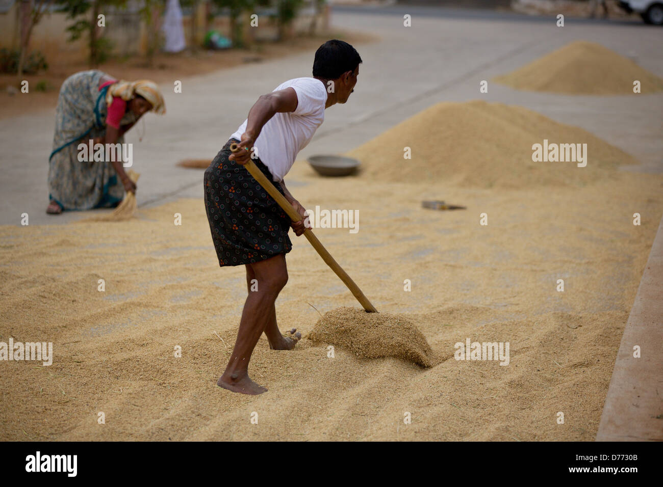 Man putting rice on a road to dry South India Stock Photo - Alamy