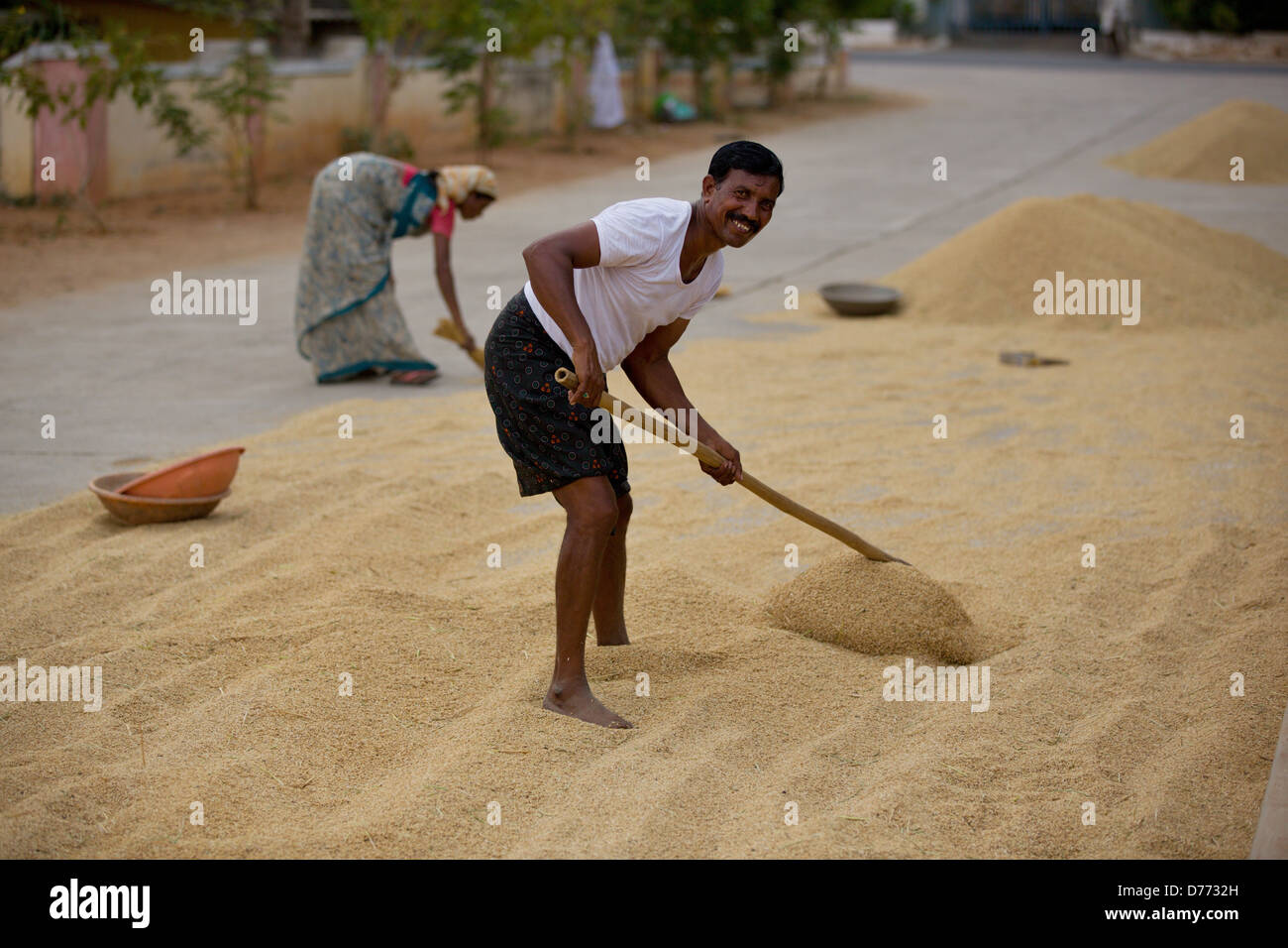 Man putting rice on a road to dry South India Stock Photo - Alamy