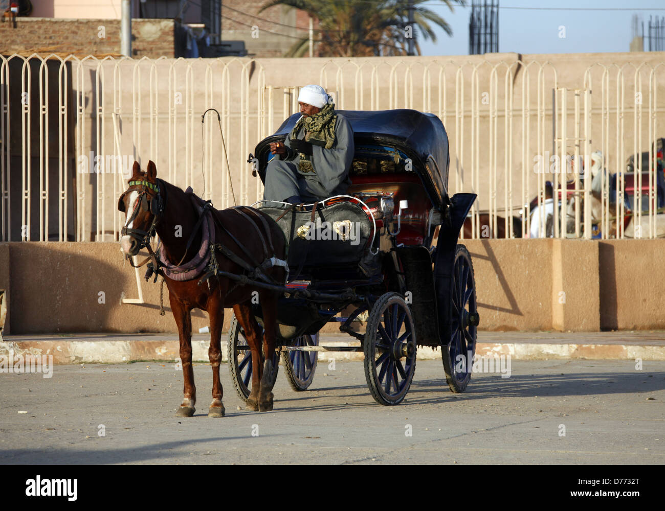 Egyptian horse carriage edfu egypt hi-res stock photography and images ...