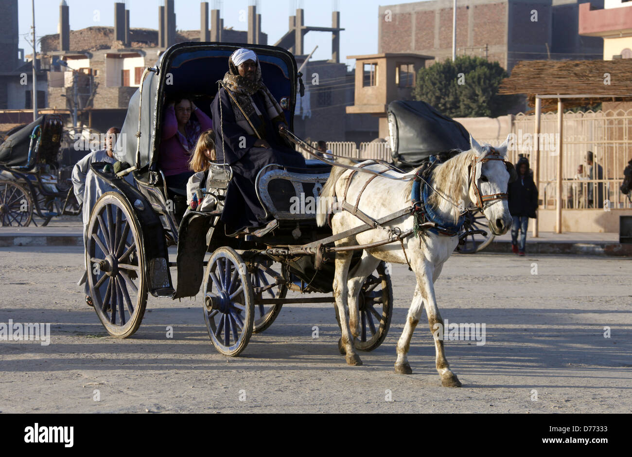 White egyptian horse carriage edfu hi-res stock photography and images ...