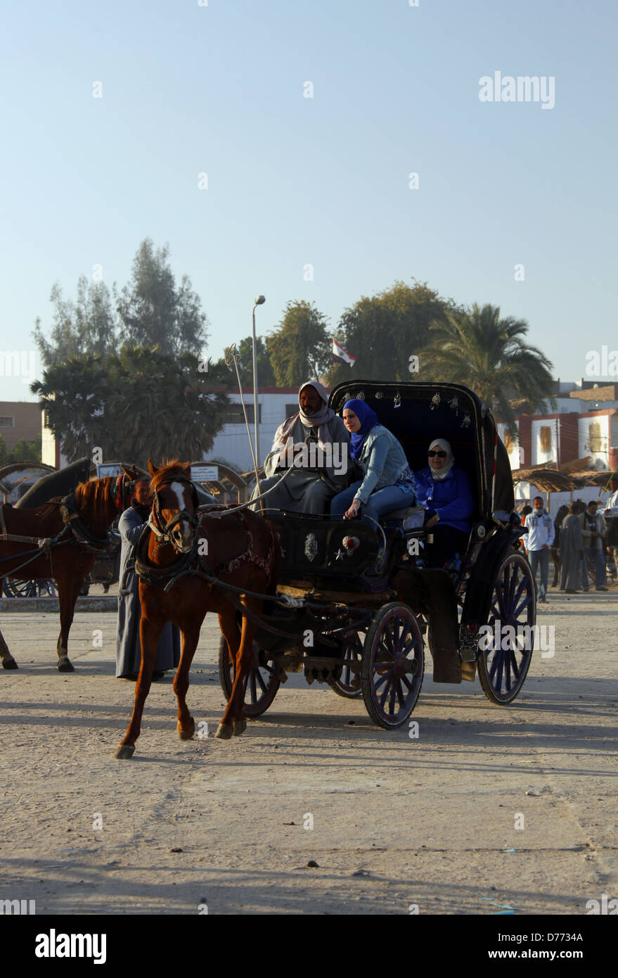 Egyptian horse carriage edfu egypt hi-res stock photography and images ...