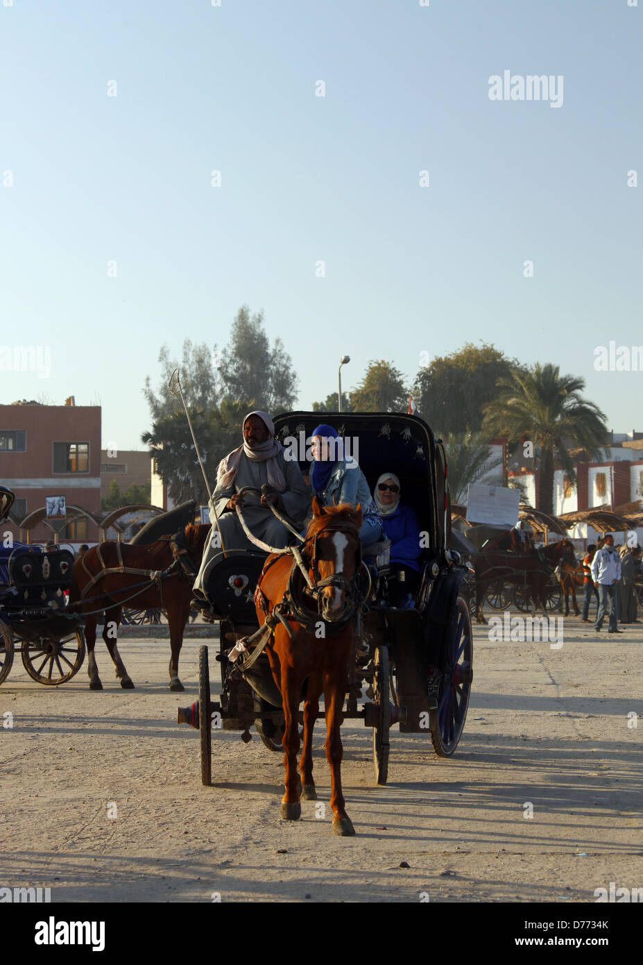 Egyptian horse carriage edfu egypt hi-res stock photography and images ...