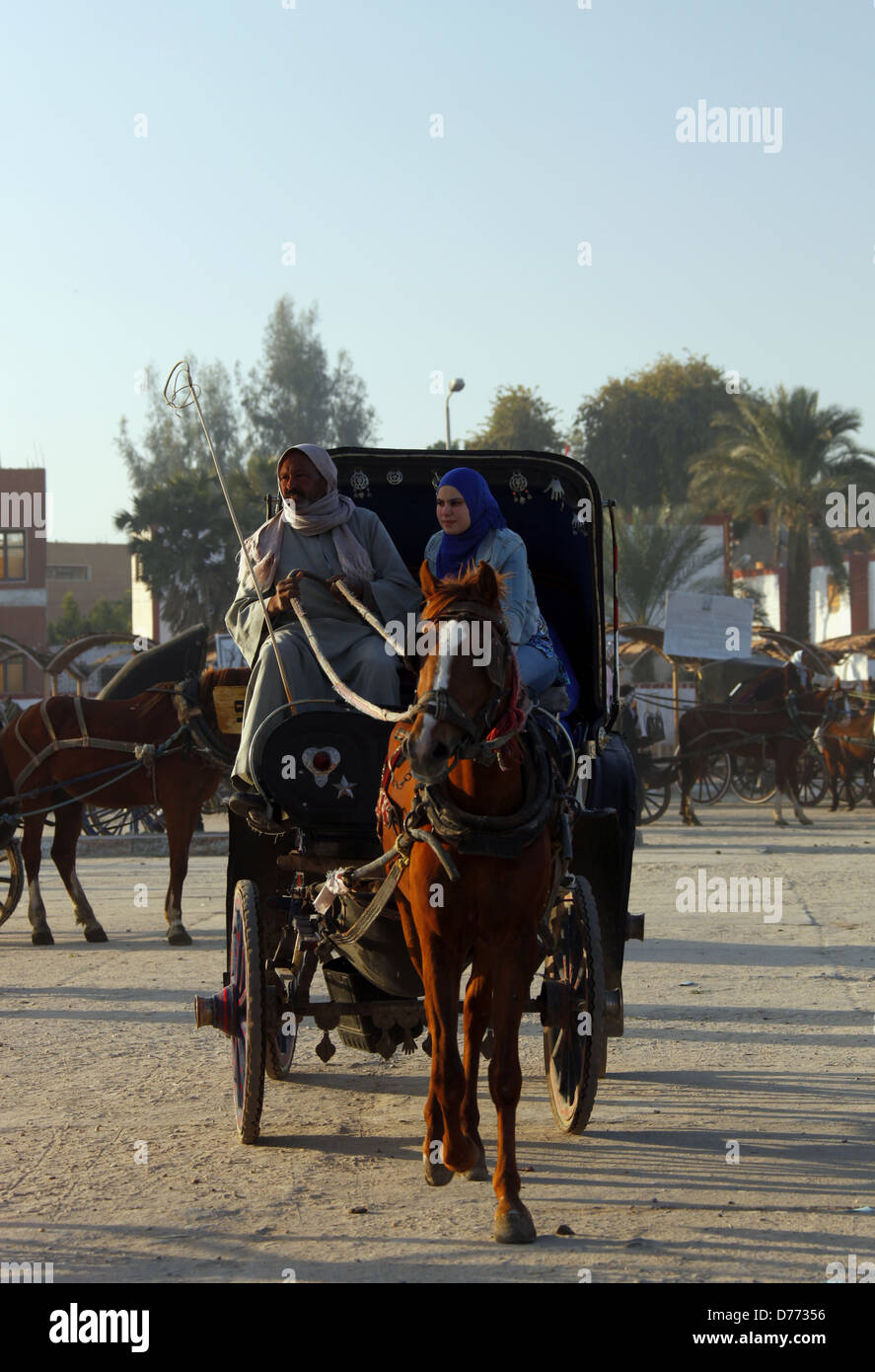 Egyptian horse carriage edfu egypt hi-res stock photography and images ...