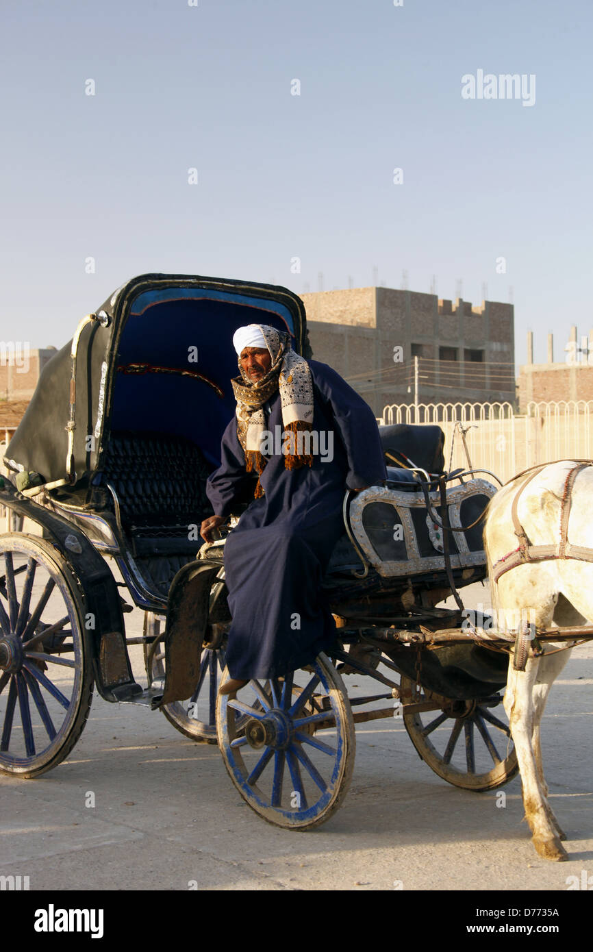 Egyptian horse carriage edfu egypt hi-res stock photography and images ...