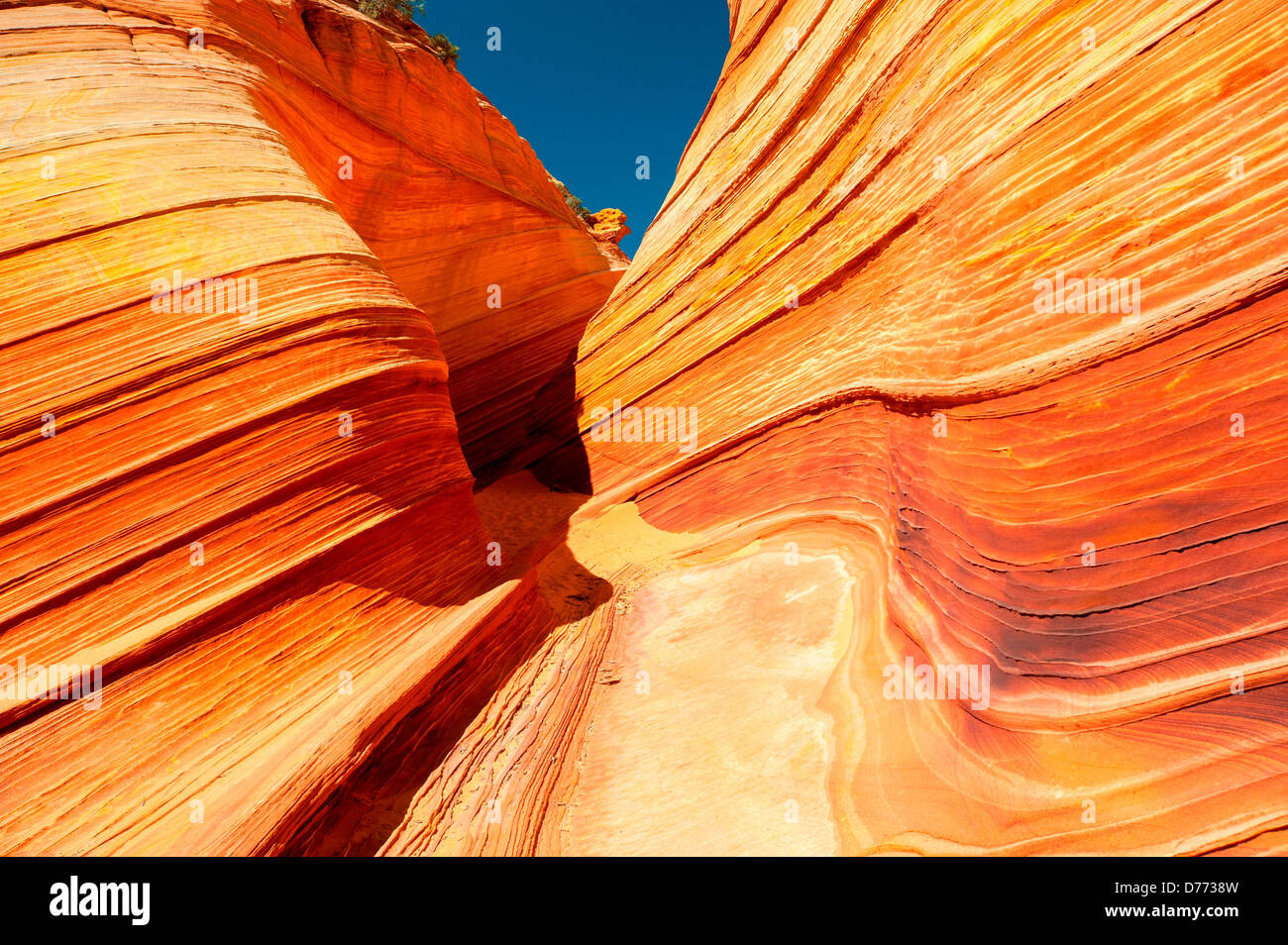 Narrow neck hi-res stock photography and images - Alamy