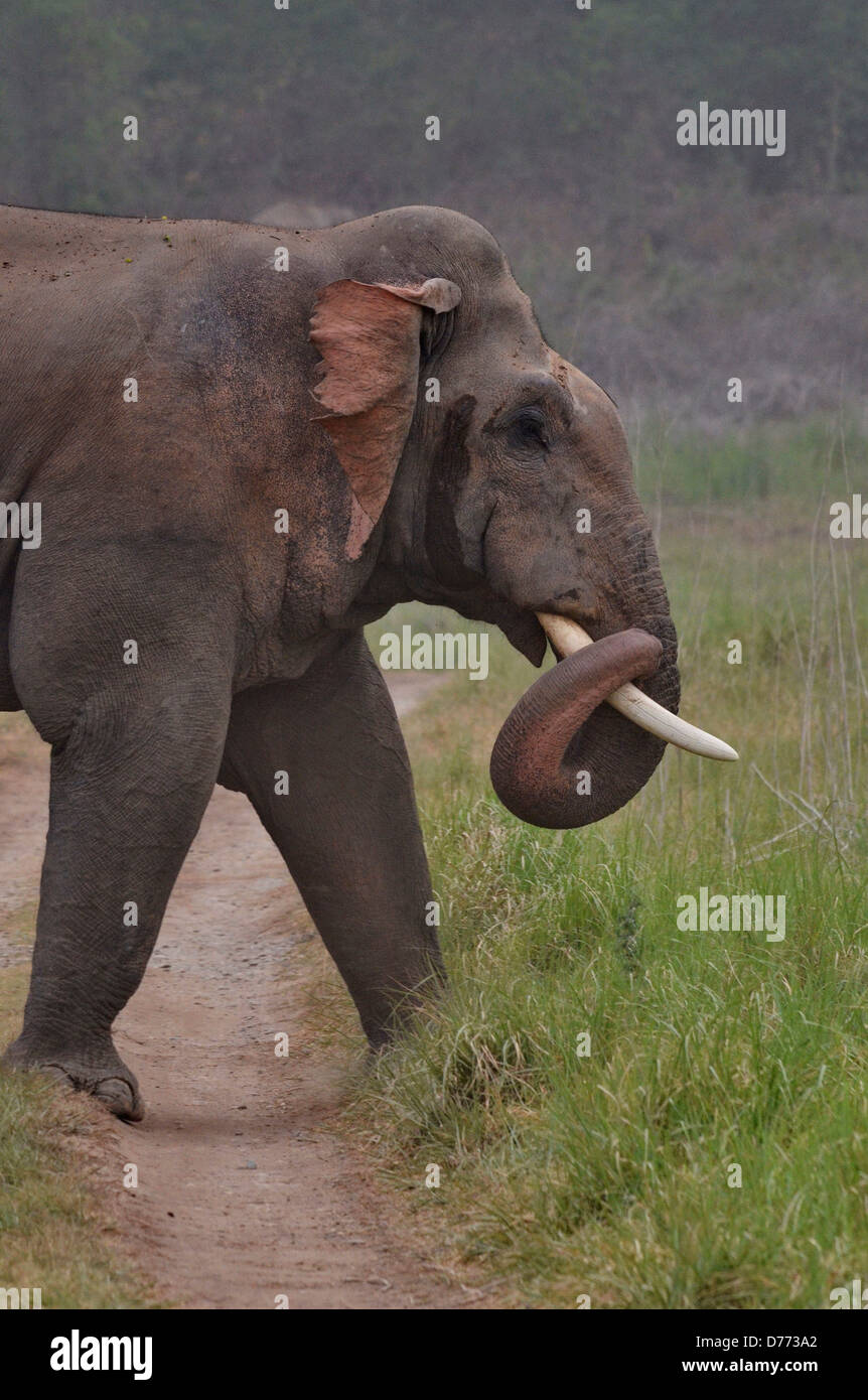 Indian reserves hi-res stock photography and images - Alamy