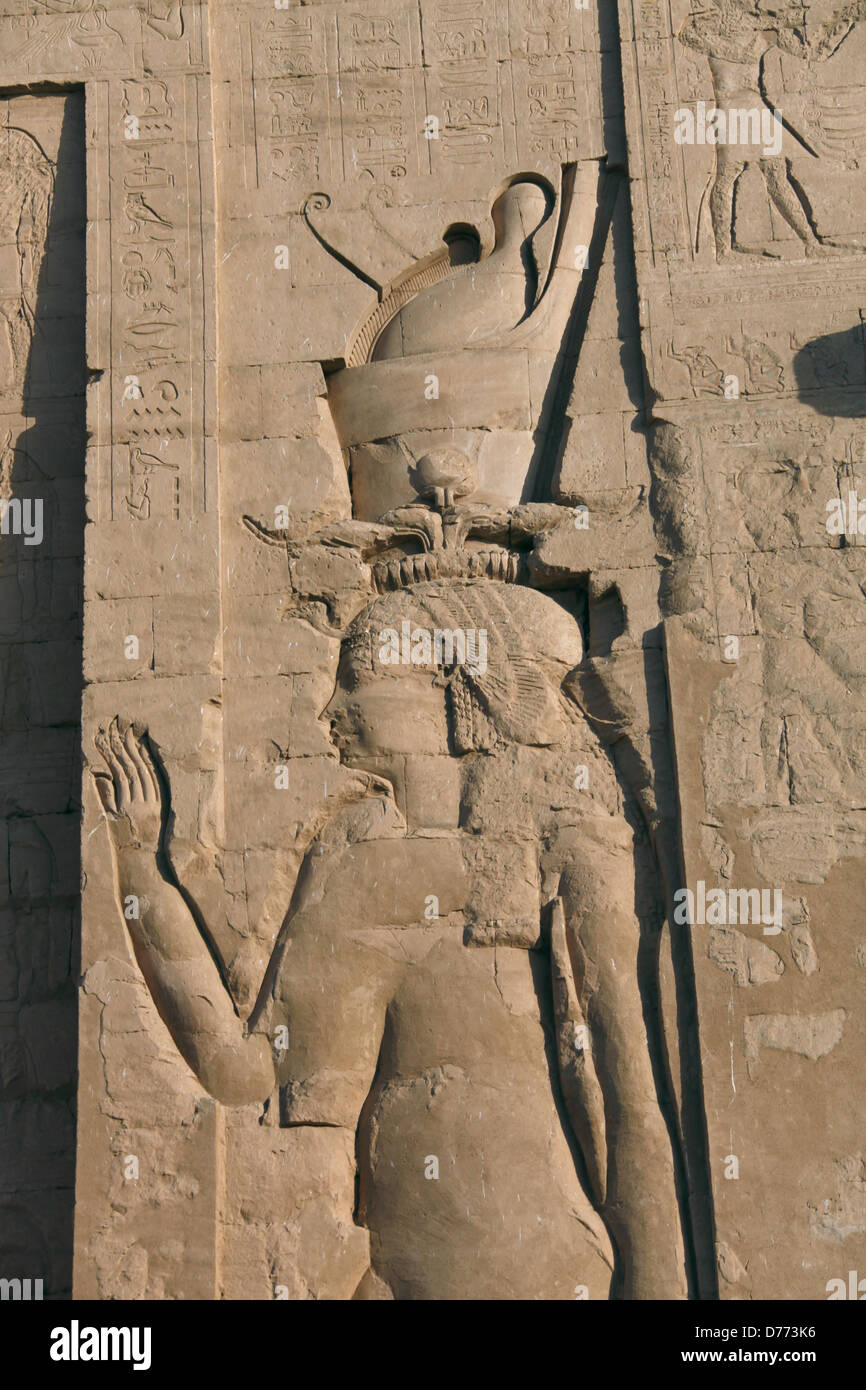 RELIEF OF FALCON GOD HATHOR ON TEMPLE OF HORUS PYLON TEMPLE OF HORUS ...
