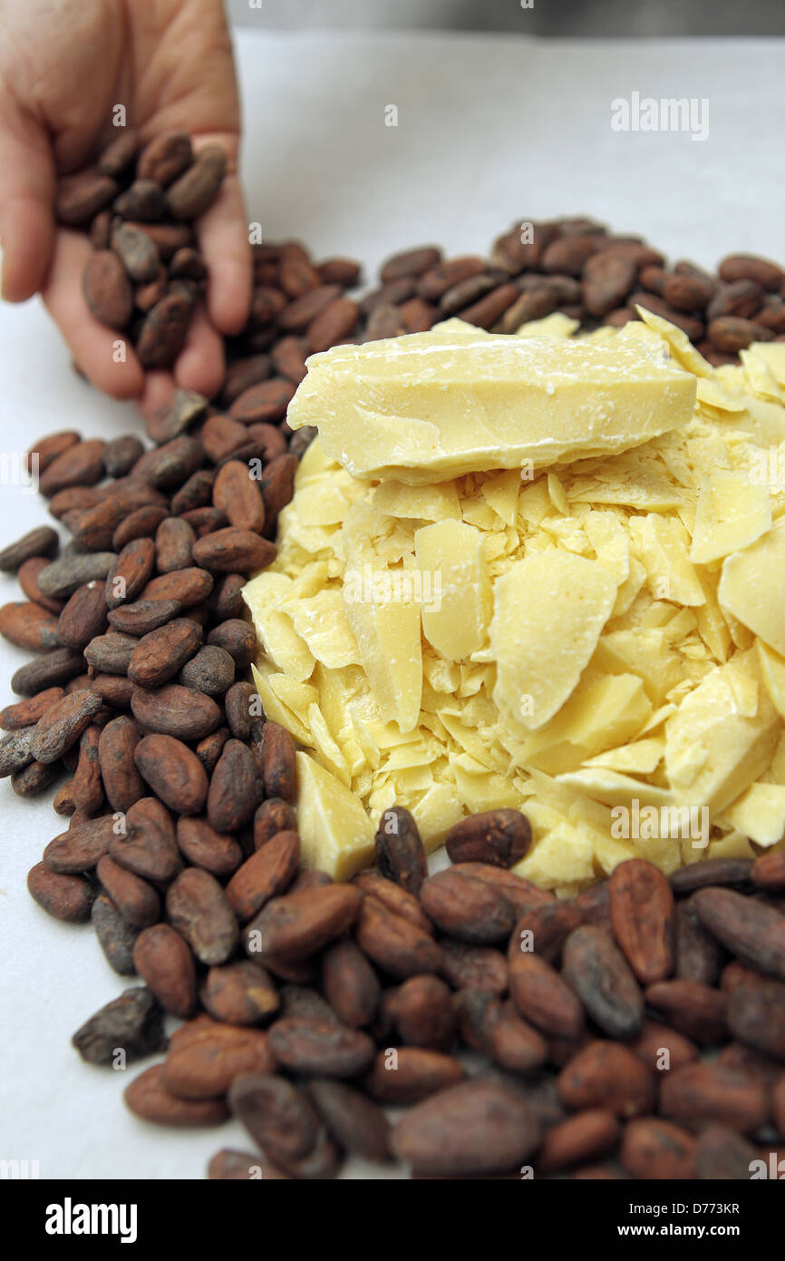 Handewitt, Germany, cocoa butter and toasted cocoa beans in a chocolate ...