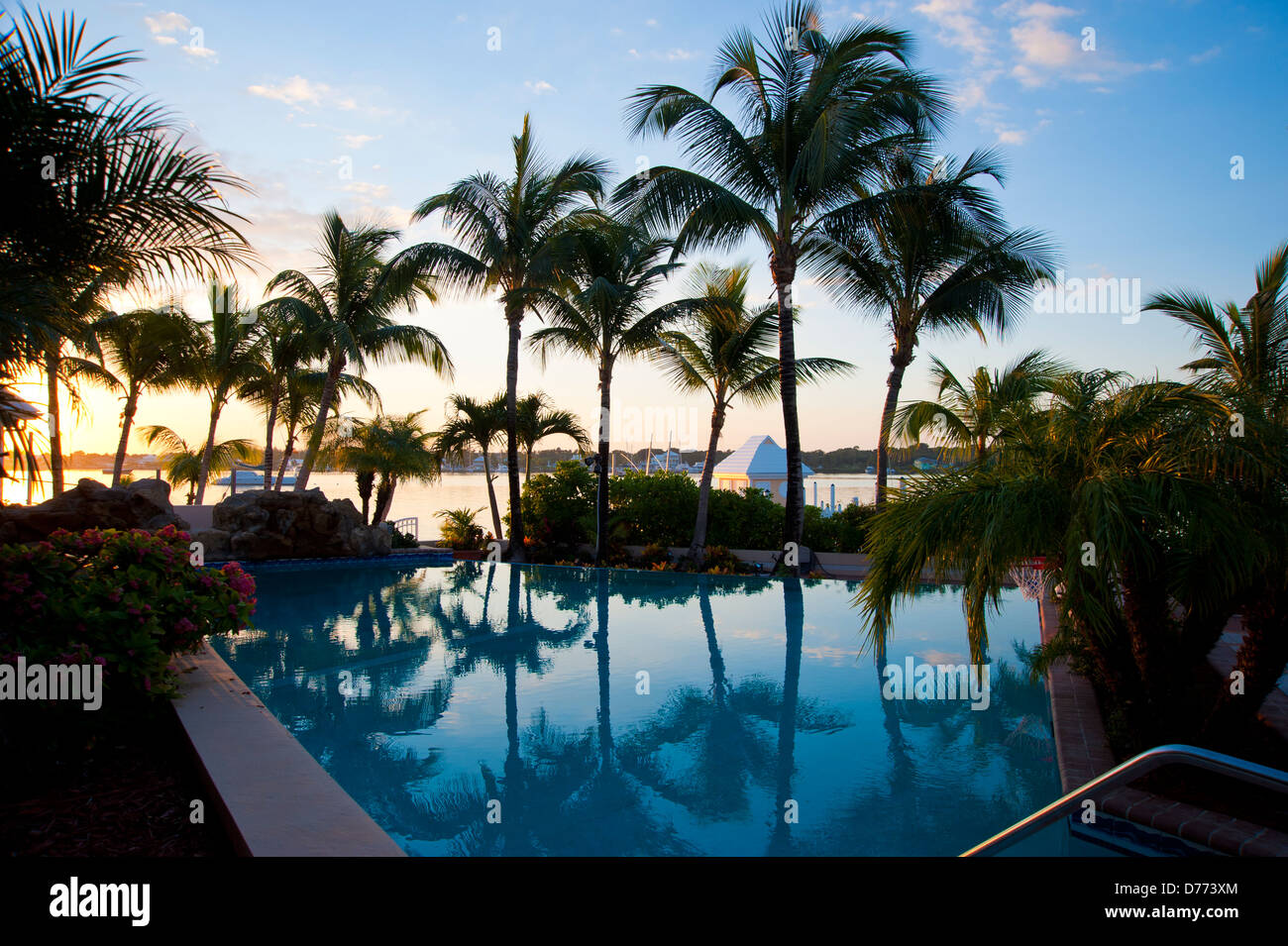 Swimming Pool Palm Trees Beach Stock Photo - Alamy