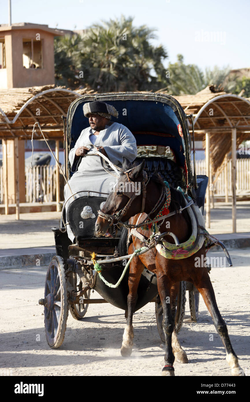 Egyptian horse carriage edfu egypt hi-res stock photography and images ...