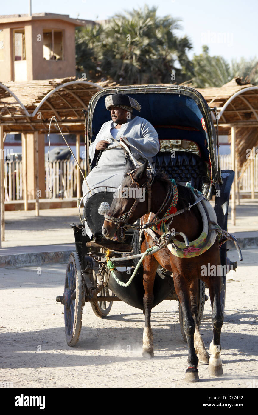 Egyptian horse carriage edfu egypt hi-res stock photography and images ...