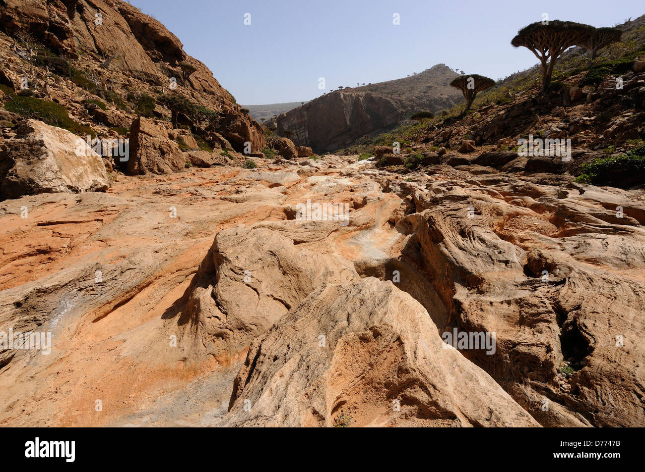 Homhil's ravine during the dry season Stock Photo - Alamy