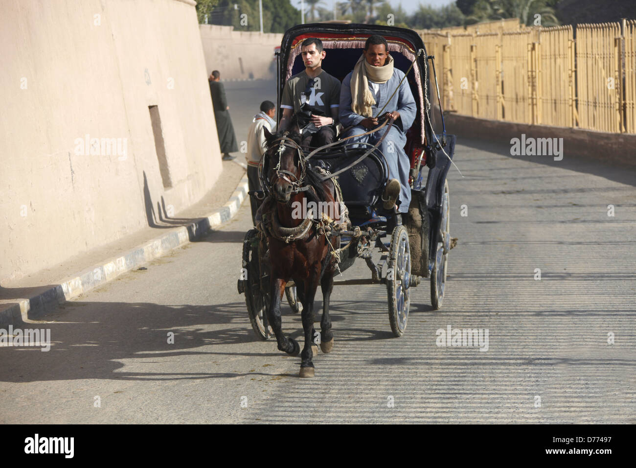 EGYPTIAN HORSE & CARRIAGE EDFU EGYPT 09 January 2013 Stock Photo - Alamy