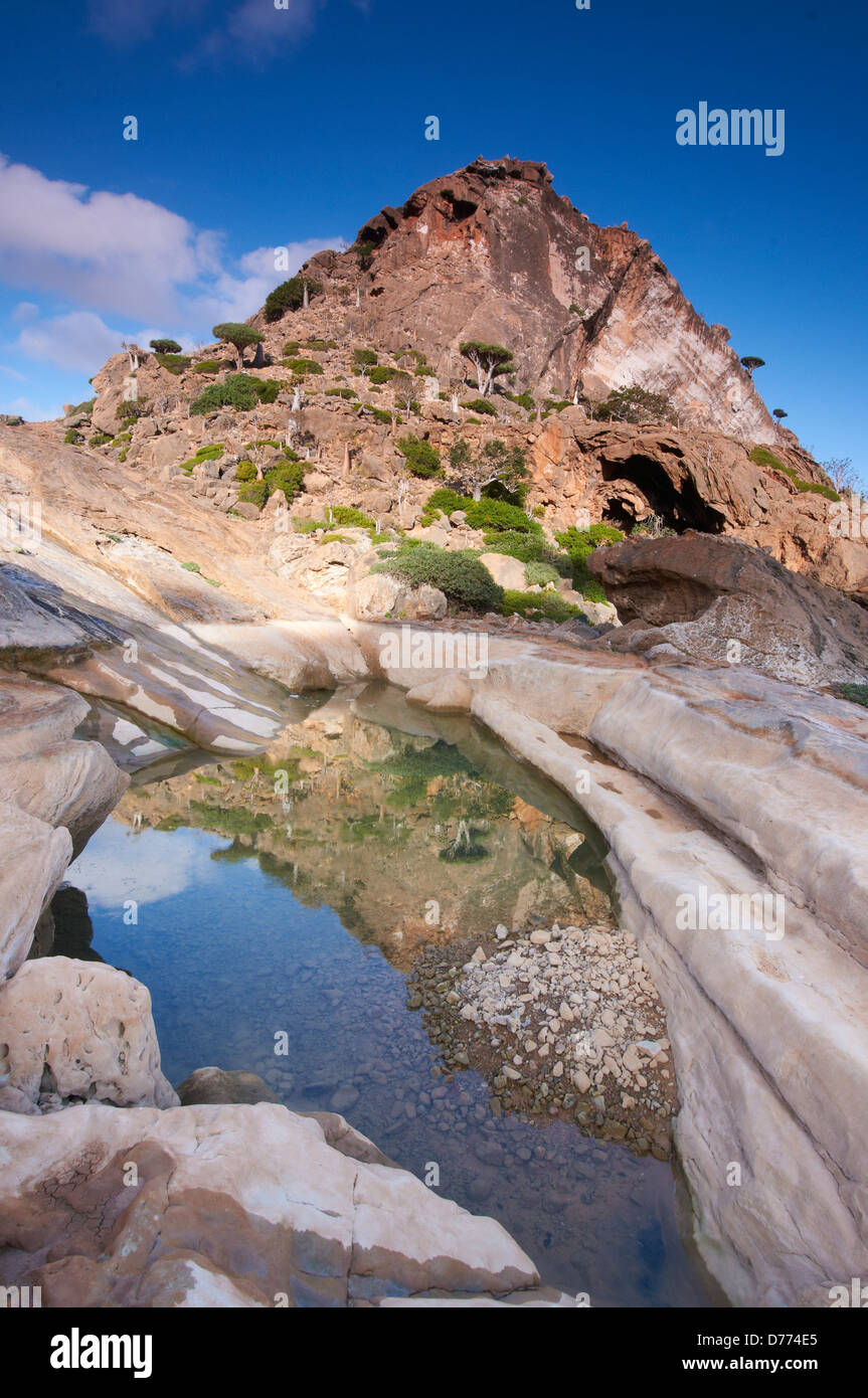 A natural pool at the Homhil plateau on Socotra Stock Photo - Alamy