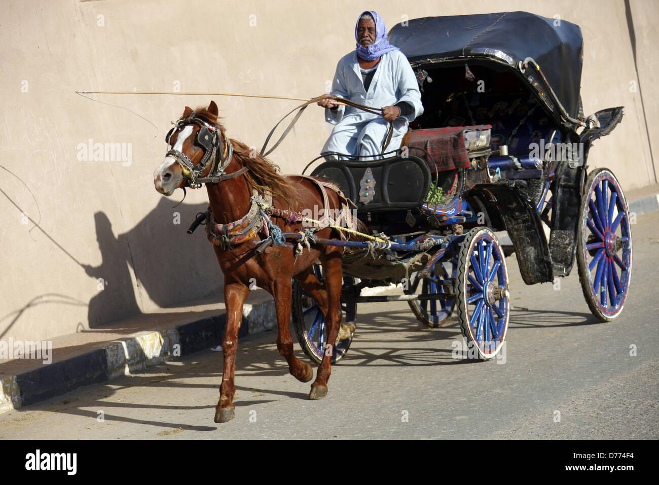Egyptian whip hi-res stock photography and images - Alamy