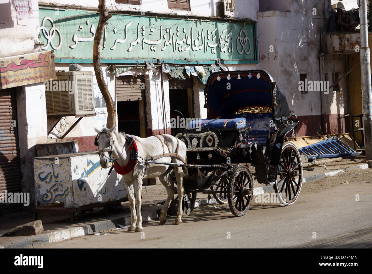 White egyptian horse carriage edfu hi-res stock photography and images ...